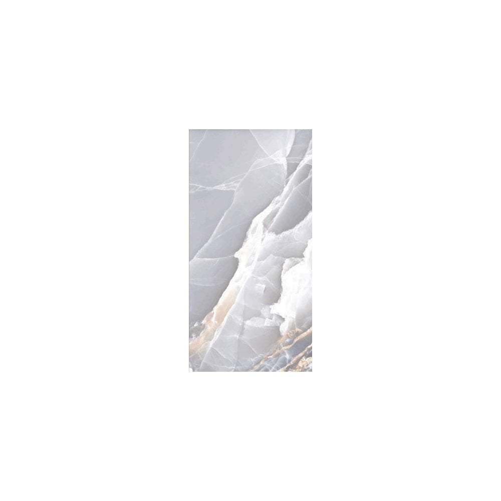Elysian Onyx XL Glacier Grey 600x1200mm Polished Porcelain Marble Effe ...