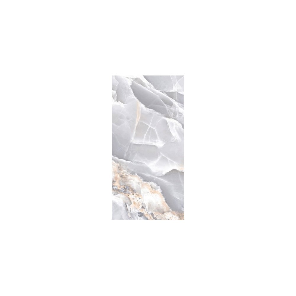 Elysian Onyx XL Glacier Grey 600x1200mm Polished Porcelain Marble Effe ...