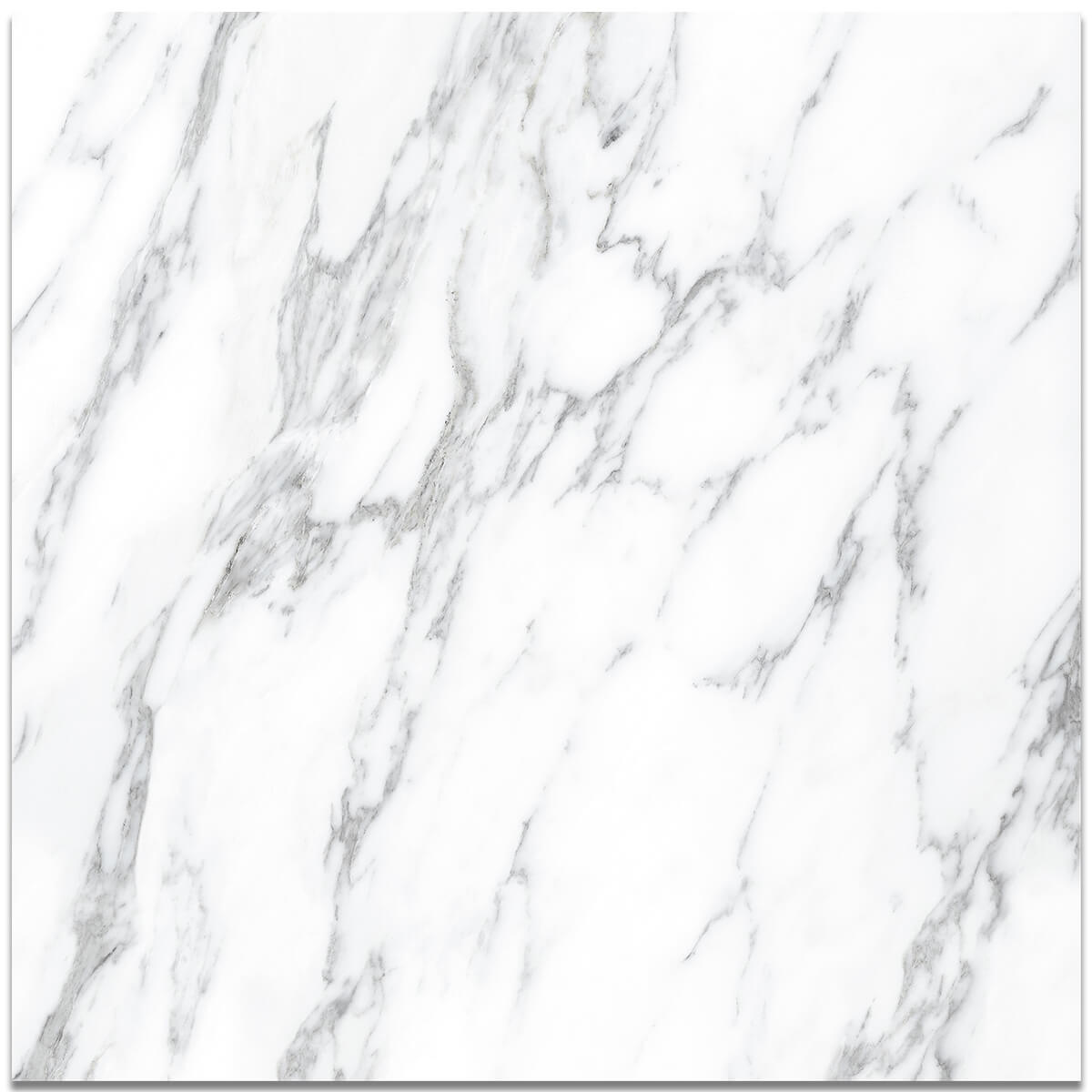 Spider White Matt Marble Effect Porcelain 60x60cm Wall & Floor Tile ...